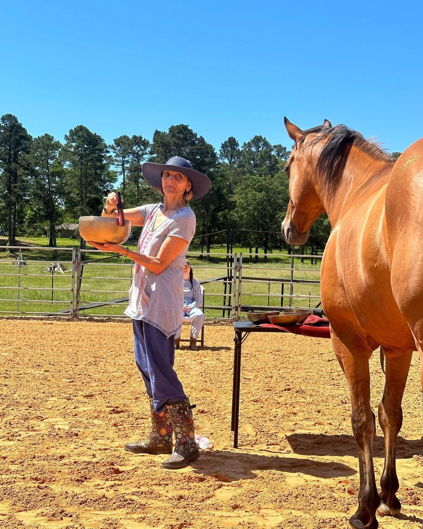 Sunshine Therapeutic Riding Center