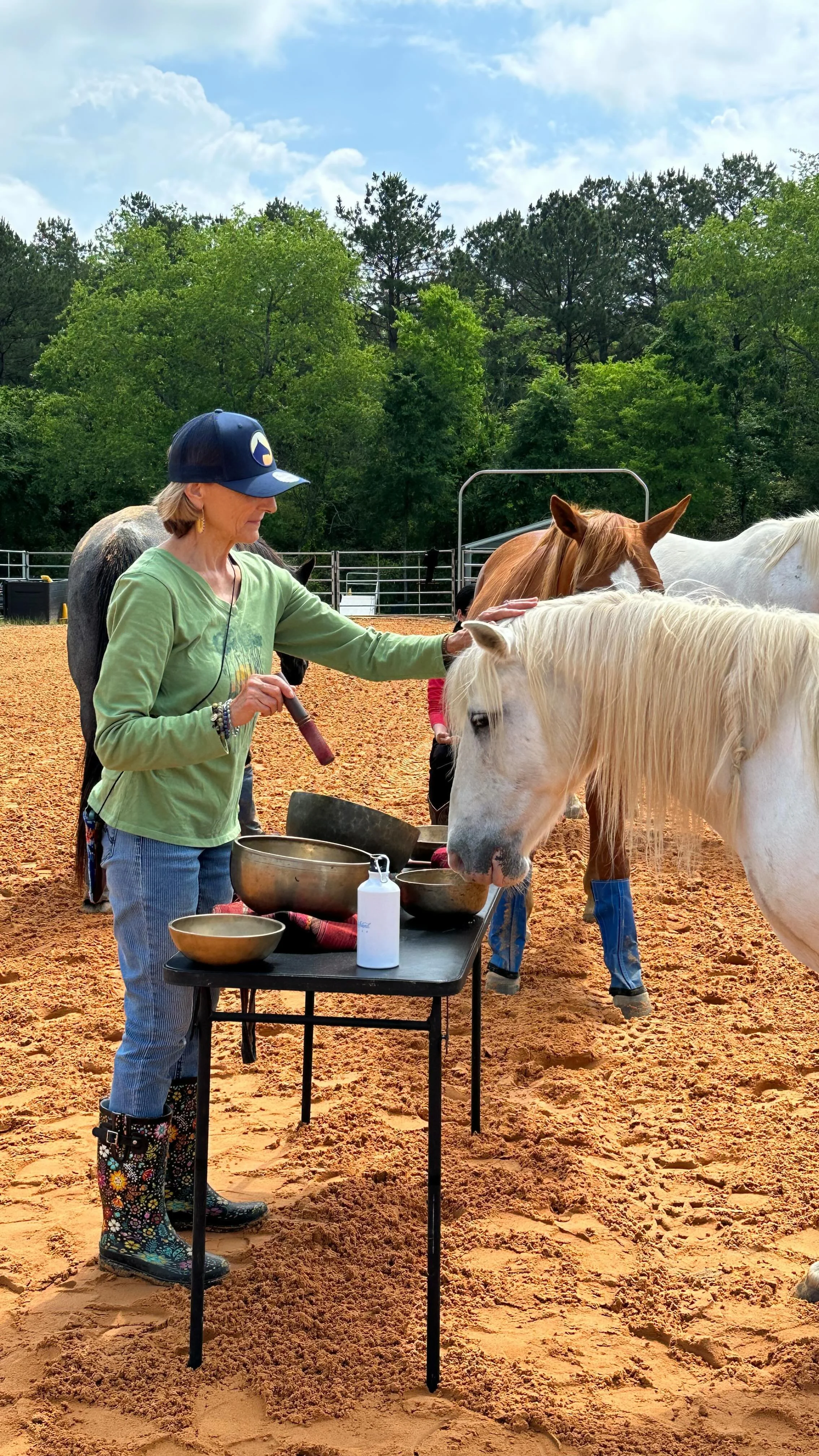 Sunshine Therapeutic Riding Center