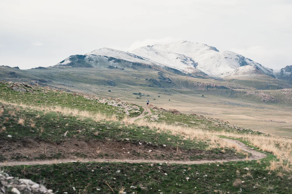 Buffalo Run 50M — Massif Running