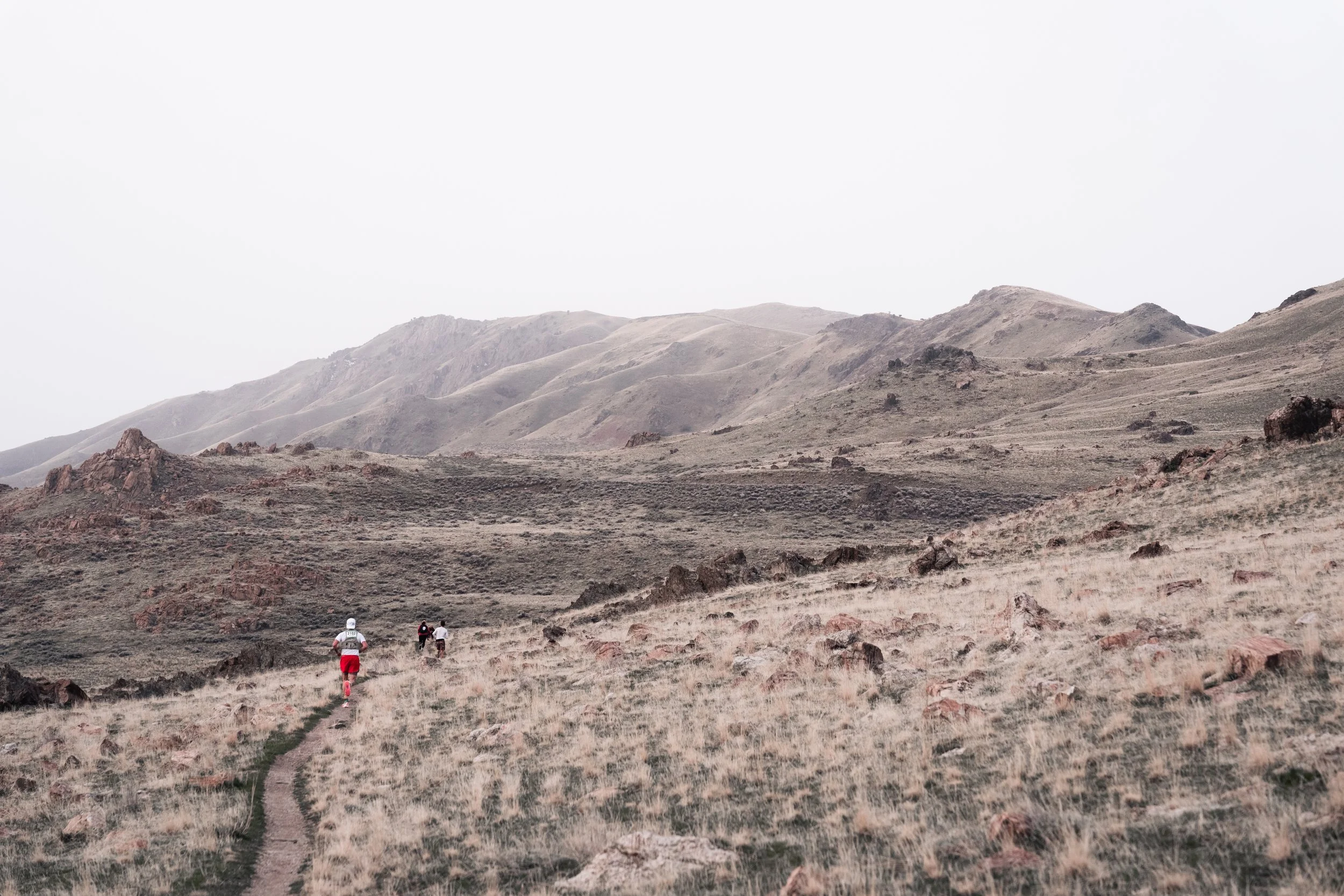 Antelope Island Buffalo Run - Spring Classic — Massif Running