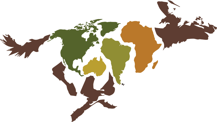 Maned Wolf: South America's Unique Canid — Endangered Canid Project