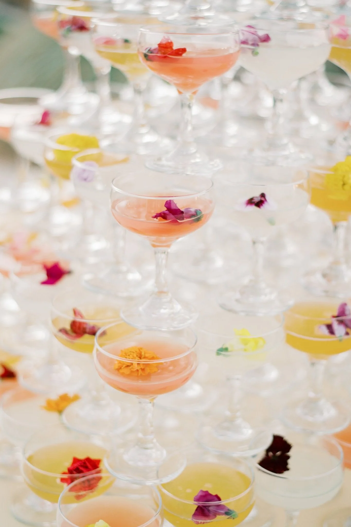 Family Celebrations Catering | Dallas — Serve & Savour Catering