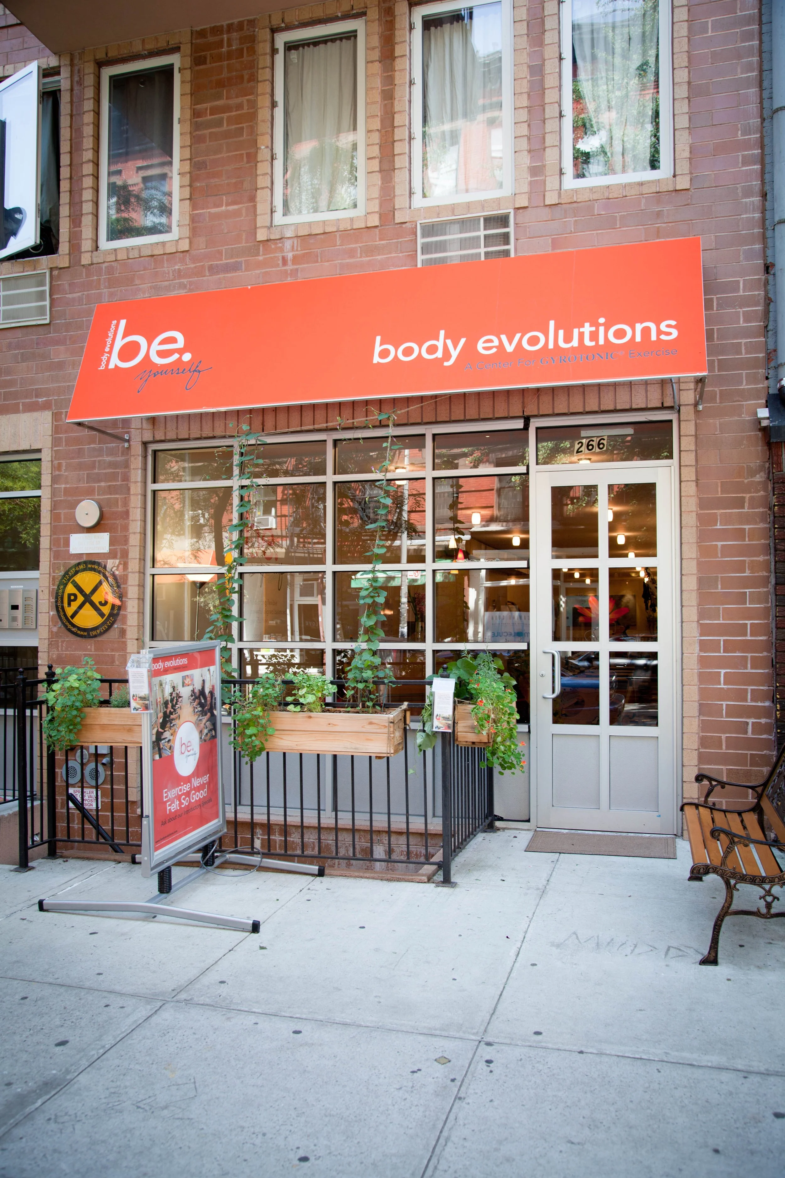 Body Evolutions