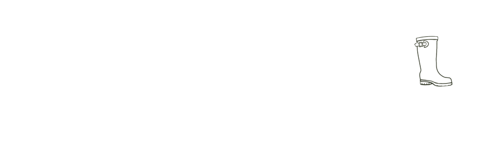 .The Chipperfield Boot pub