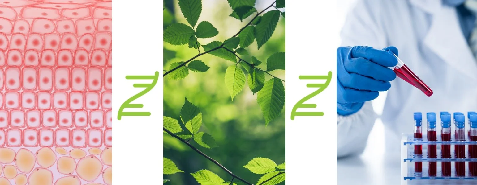 The Science of RNA Fragmentomics | RealSeq Biosciences