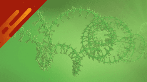 Realizing RNA Fragmentomics | RealSeq Biosciences