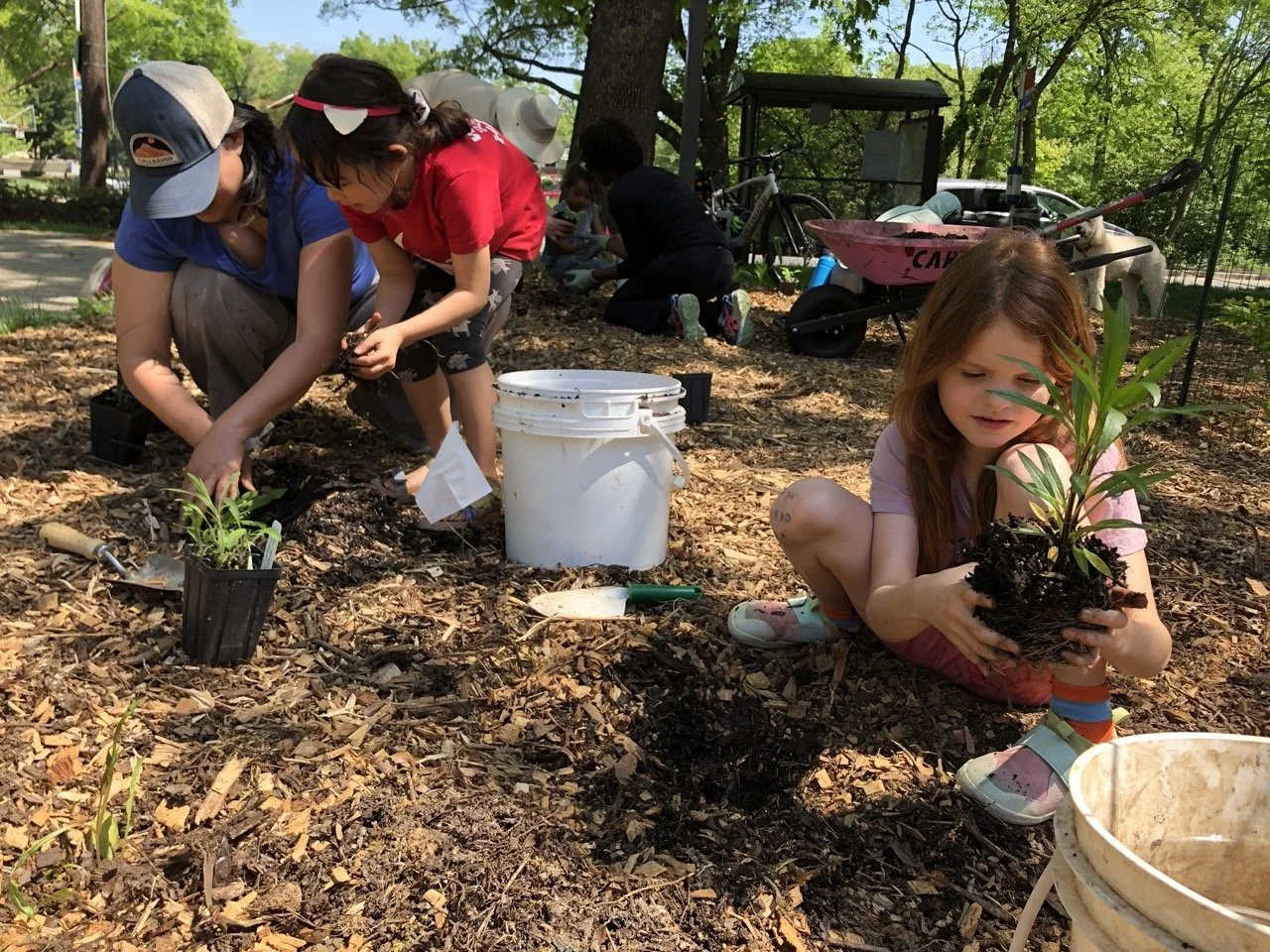 Montgomery College Food Forest — Community Food Forest Collective