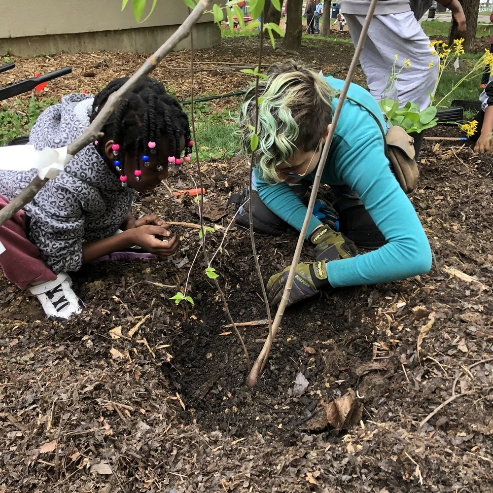 Montgomery College Food Forest — Community Food Forest Collective