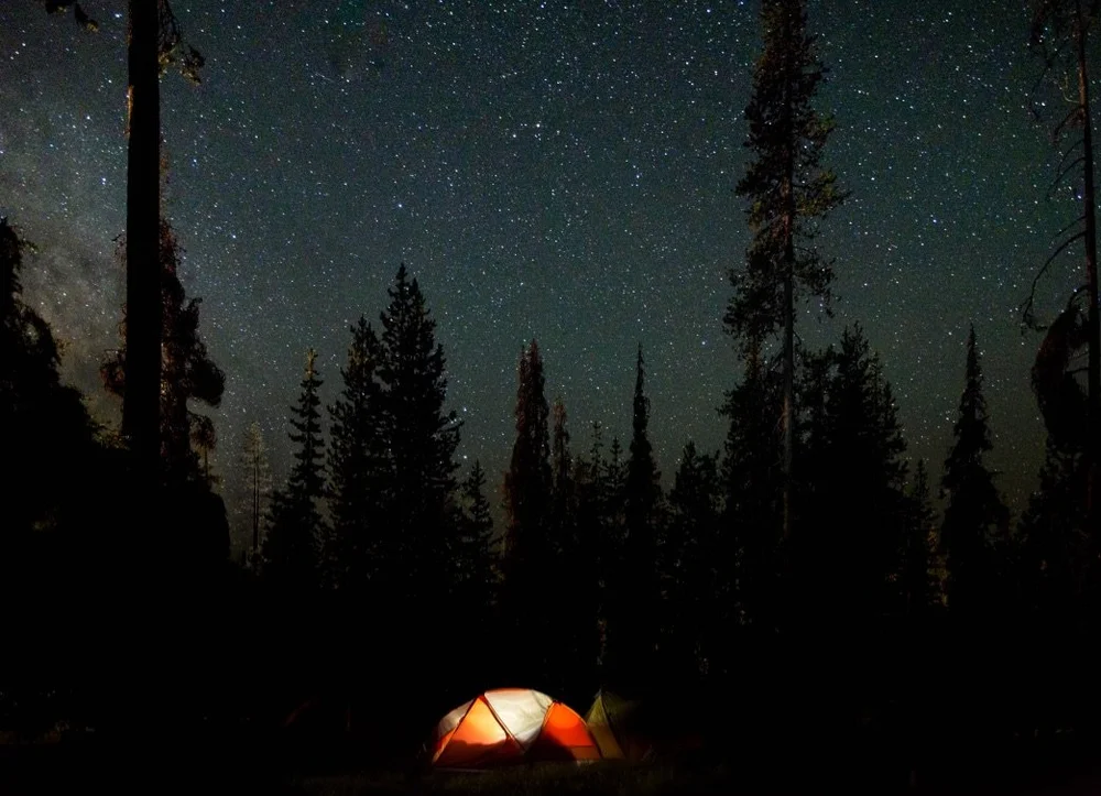 About — Cat Slack Consulting