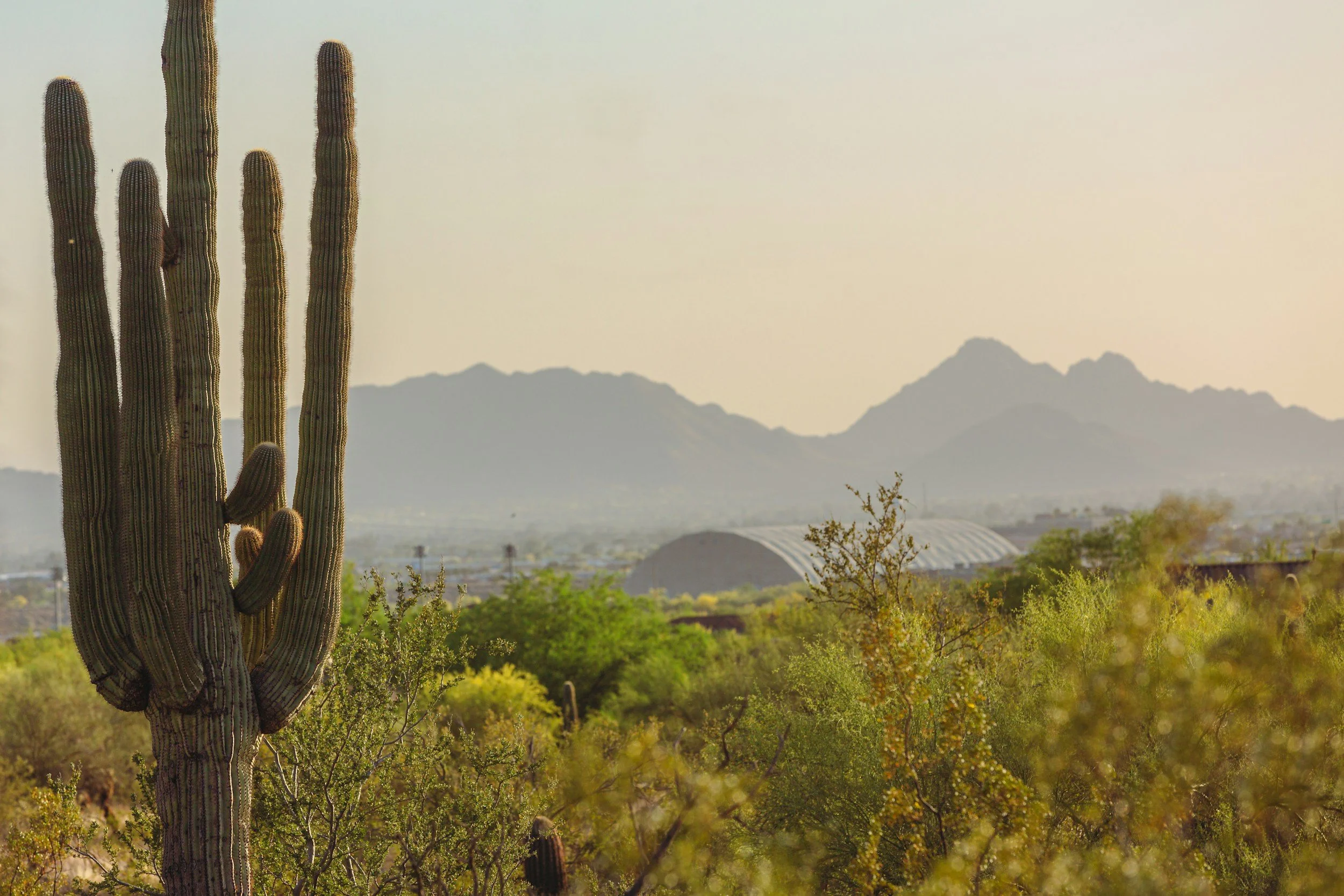 Expert Speech Therapy for Adults in Arizona | Private Pay — Arizona ...