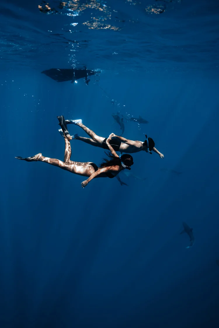 Gallery — Deep Blue Eco Tours