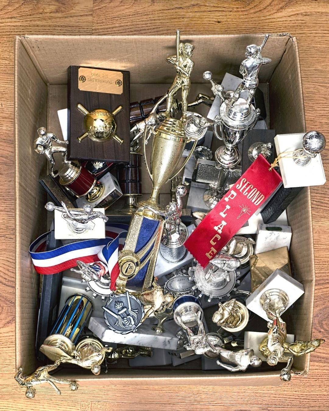 How to Organize Memorabilia and Photos: An OT's Guide to Preserving ...
