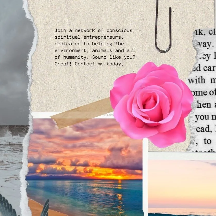 Divine Rose