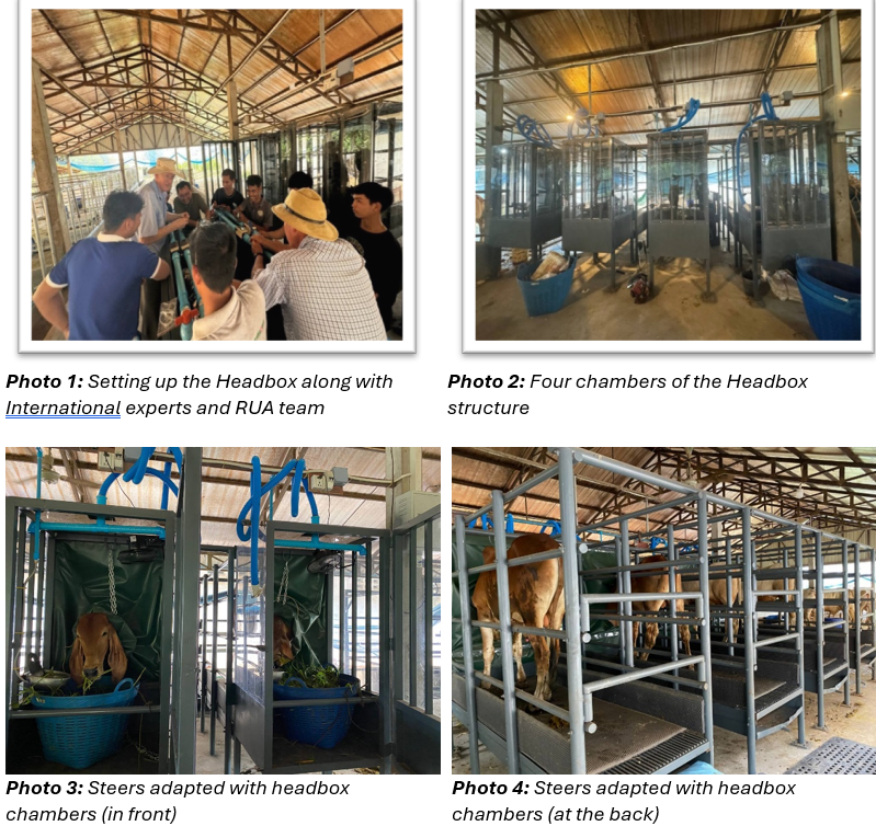 Cambodia Project — CSA
