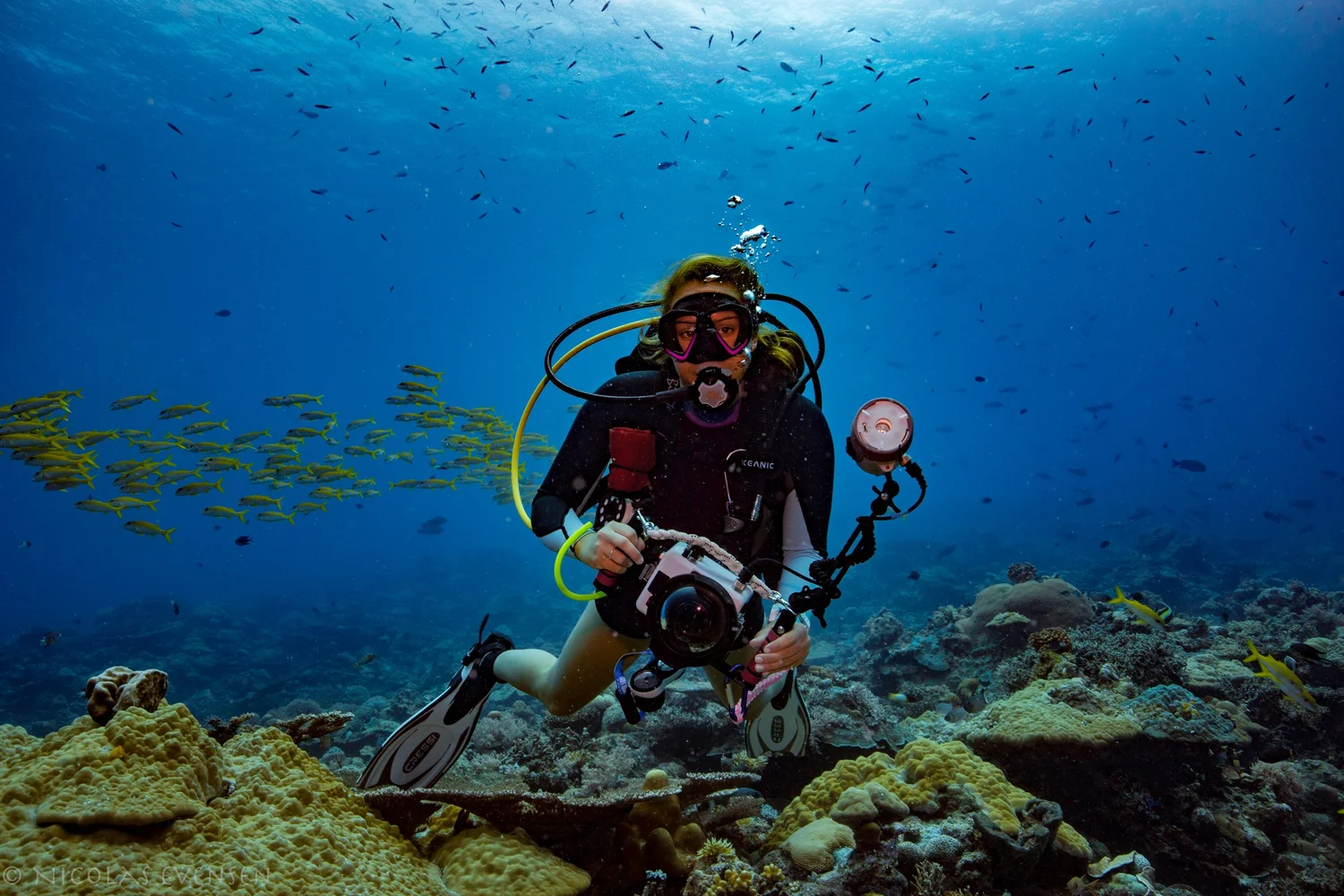 Making Remote Sensing Relevant for Coral Reef Monitoring — Earth ...
