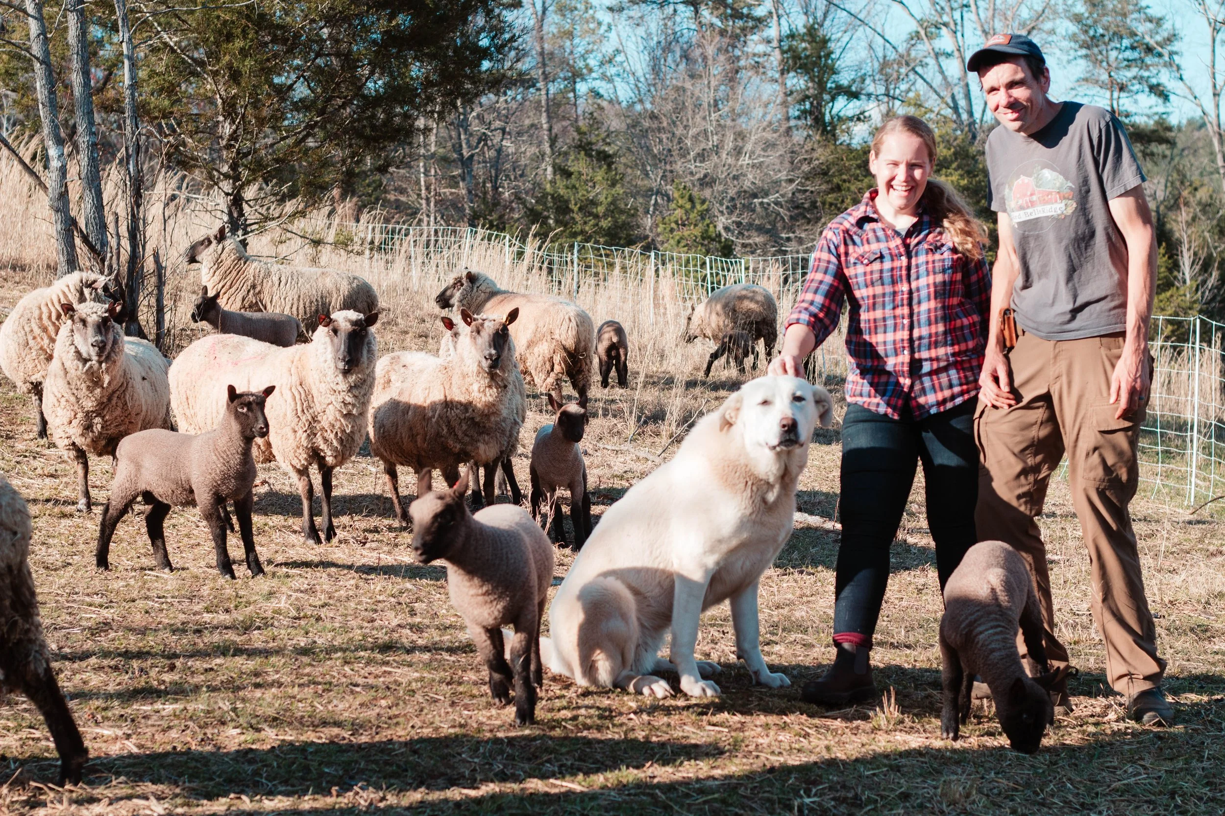 Red Belle Ridge Farm & Supply