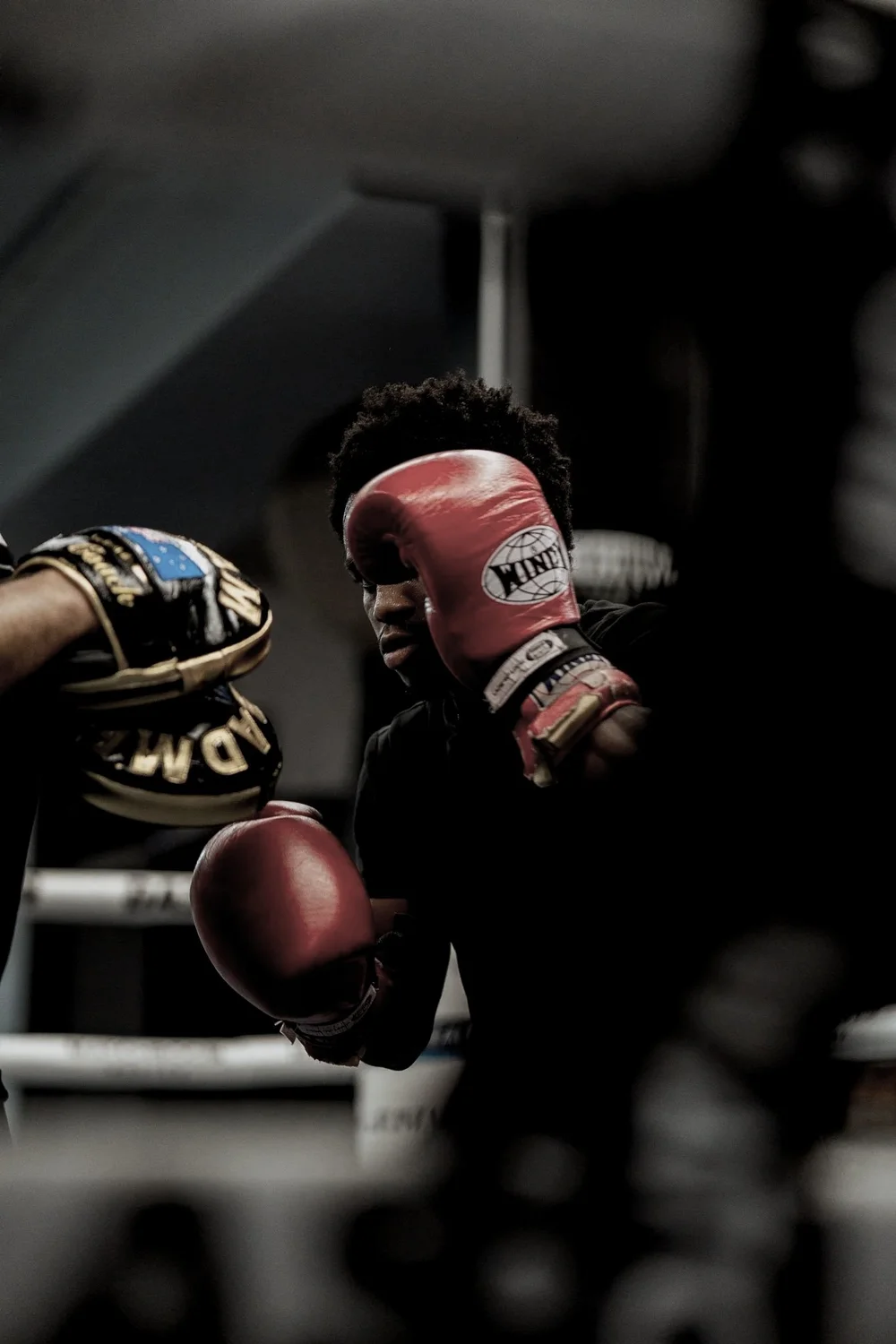 Fortitude Boxing Gym Bowen Hills