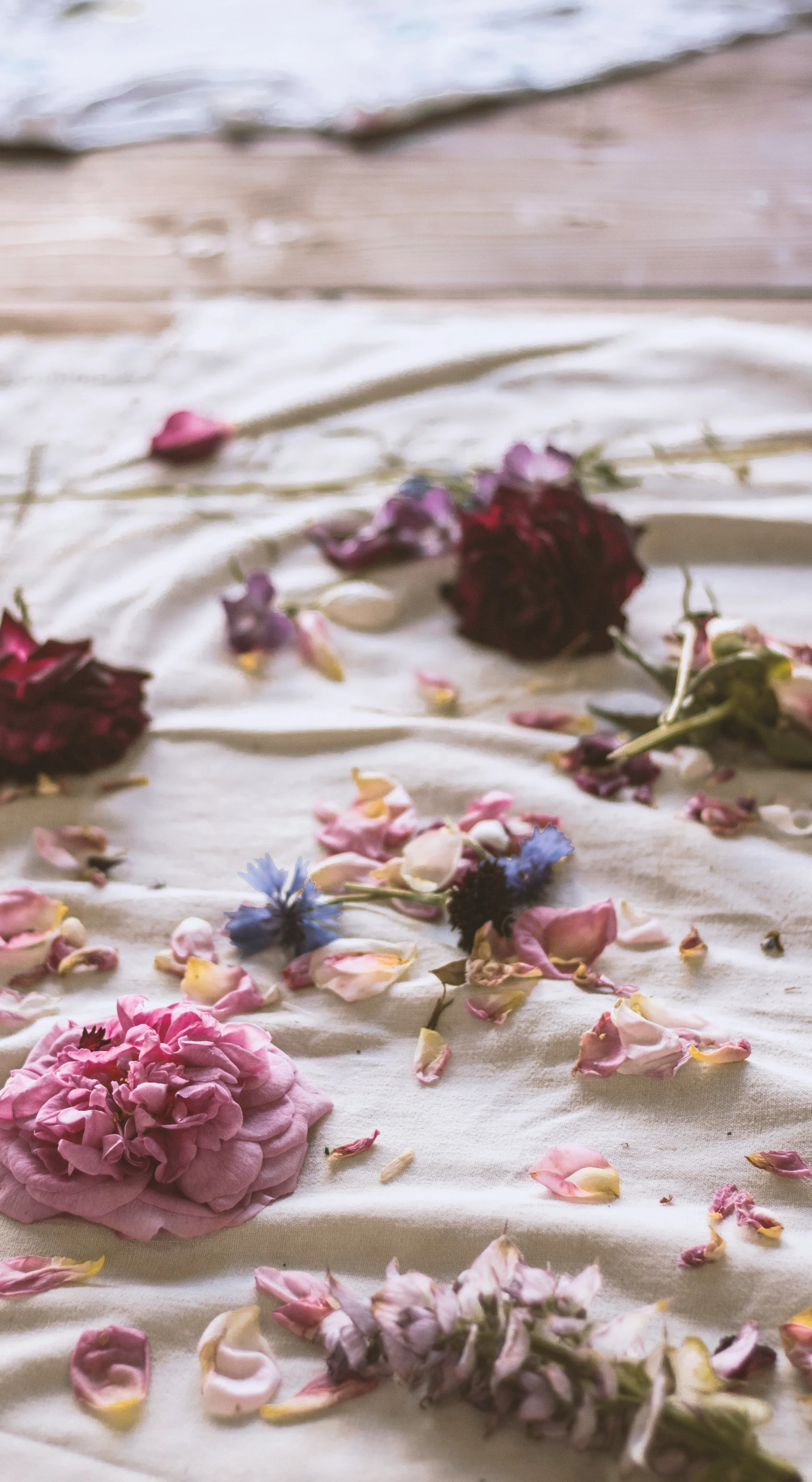 Innie versus Outie Vaginas: Embracing Our Petals in All Their Glory ...