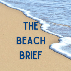 Blog 1 — TEAM BEACH