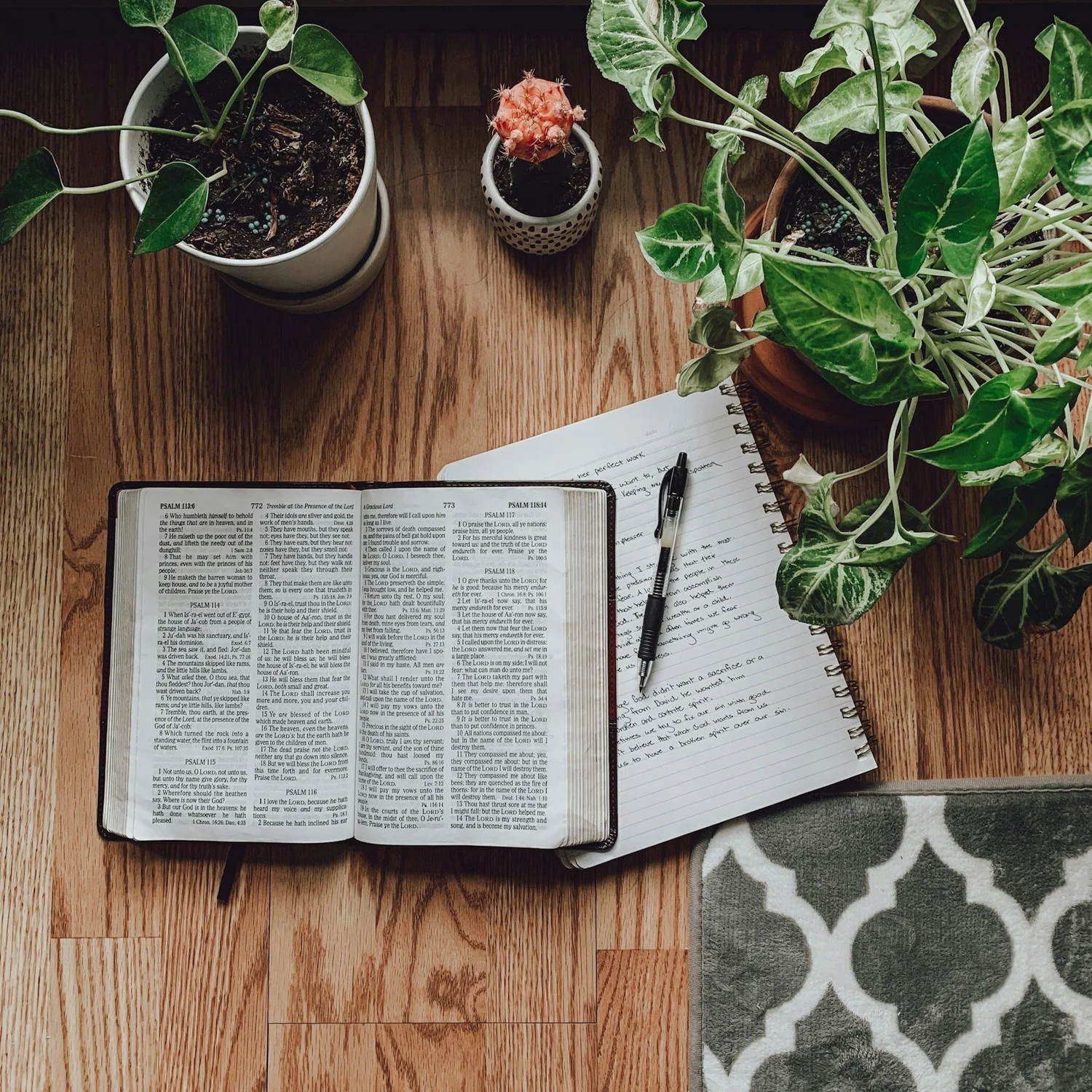 Dream Mentors Biblical and Christian Life Coaching Institute