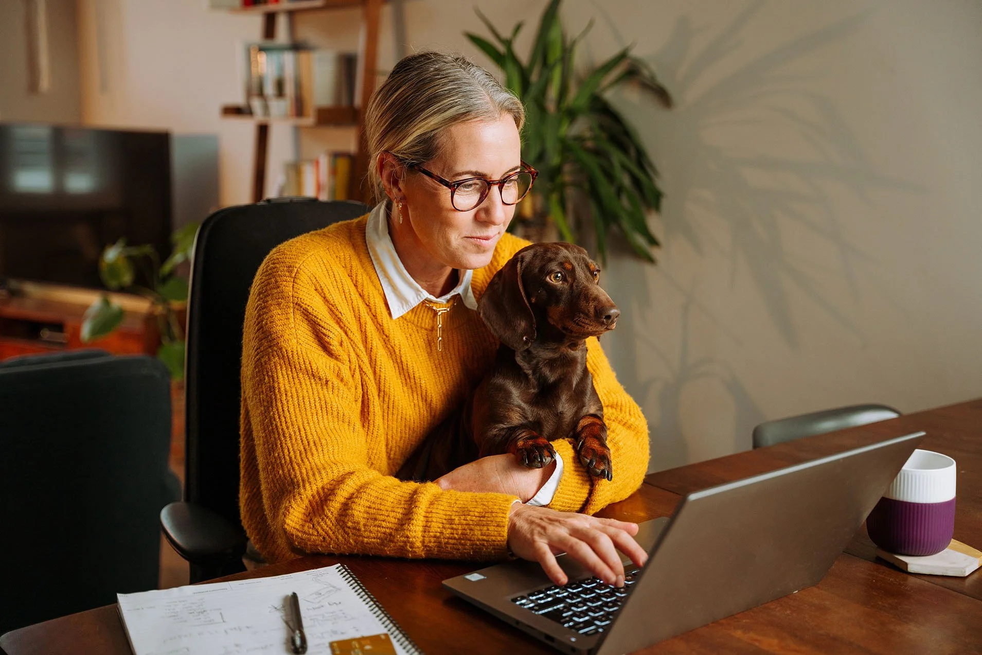 SEAI One Stop Shop Grants | Home Energy Upgrades — KORE Retrofit