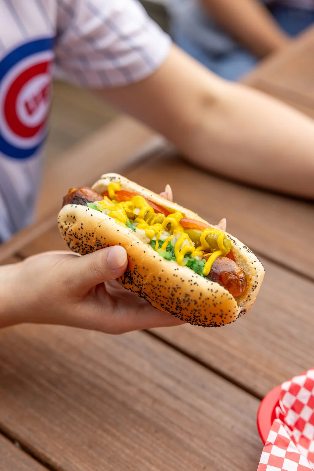 Wrigleyville — Small Cheval | Chicago