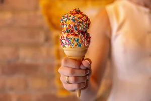 Wilmette — Small Cheval | Chicago