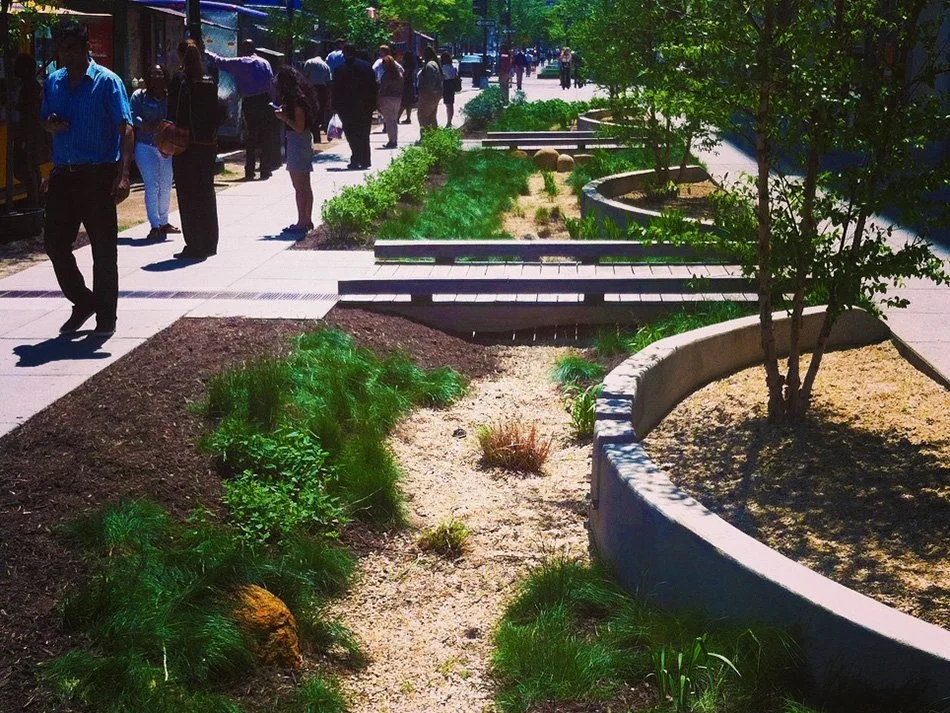 EcoSolutions Hawaii Stormwater Management — EcoSolutions Hawai'i