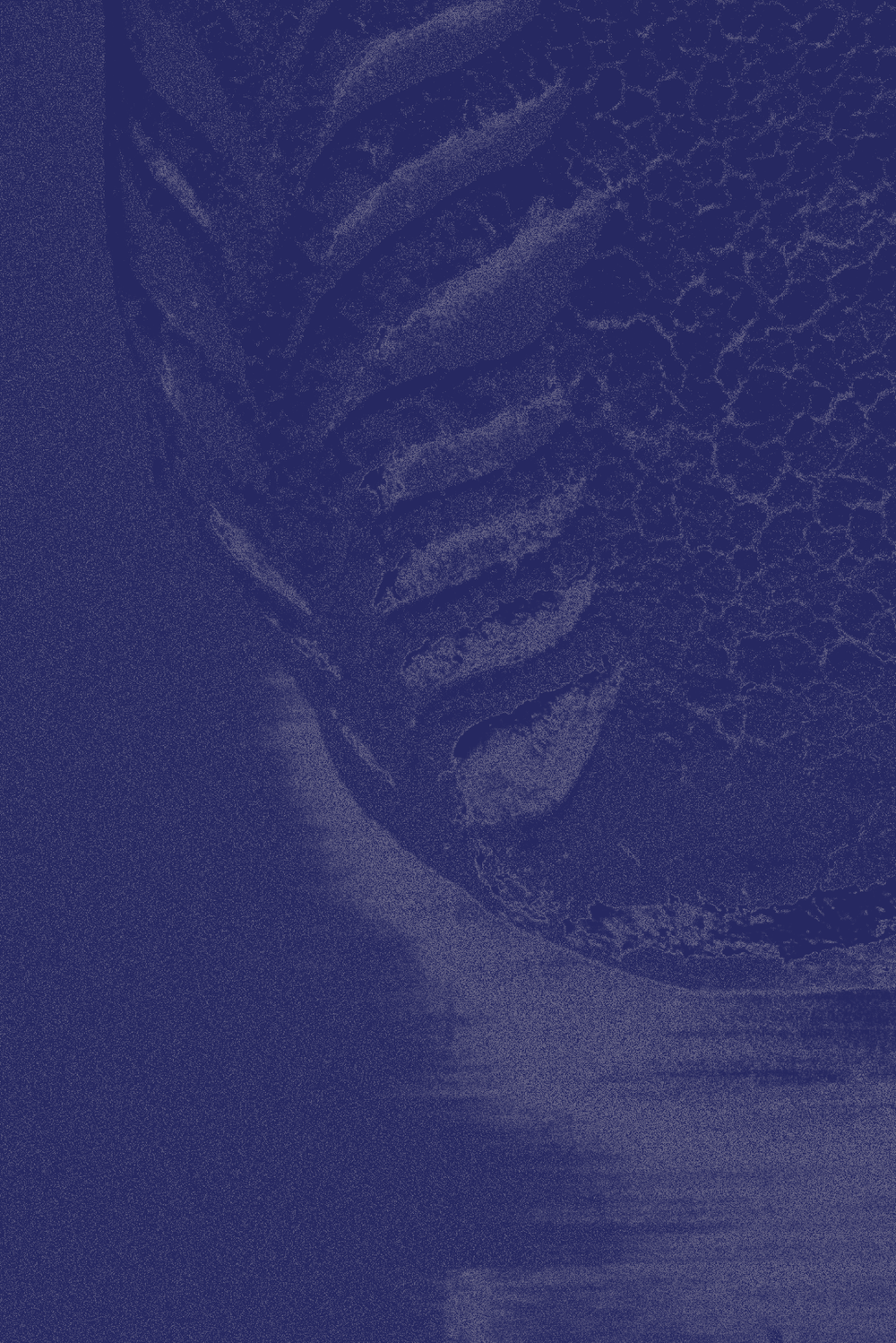 Menu — Razava Bread Co.