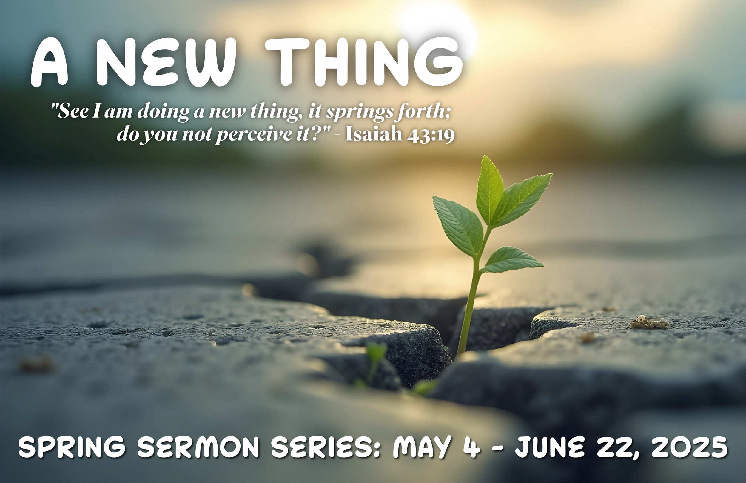 A New Thing — Trinity United Methodist Church