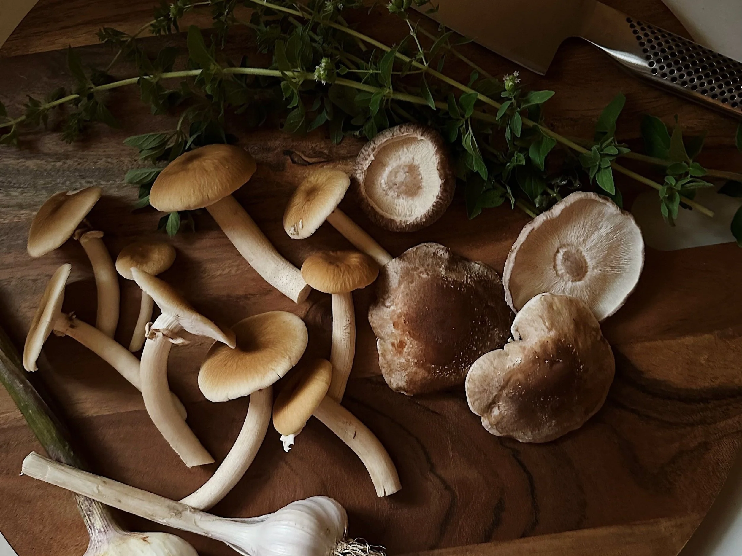 Products | Mushrooms | Beef | Eggs | Pantry | Veggies | Brooksville, MS ...
