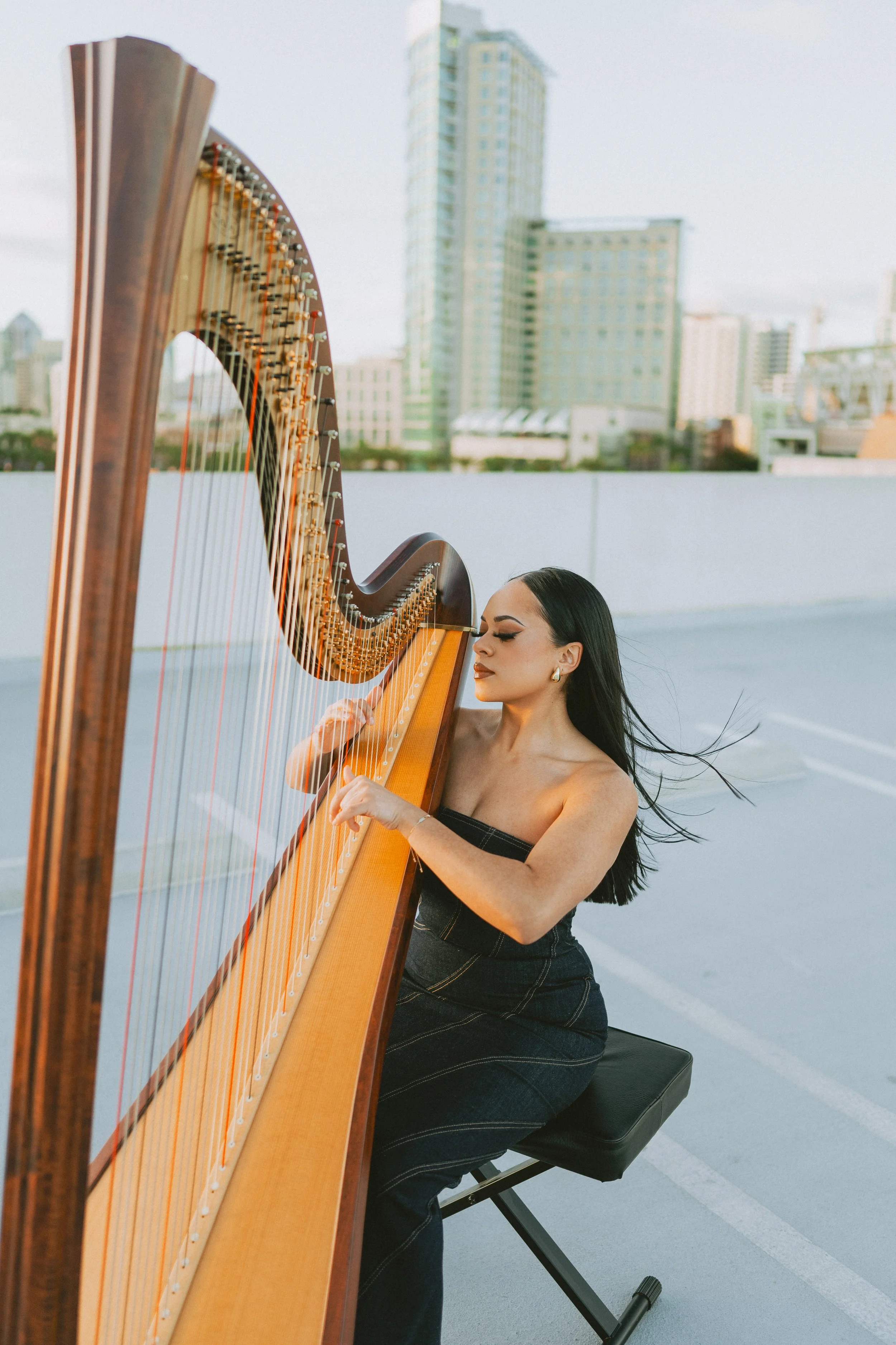 Contact — Betania Rodriguez Harp