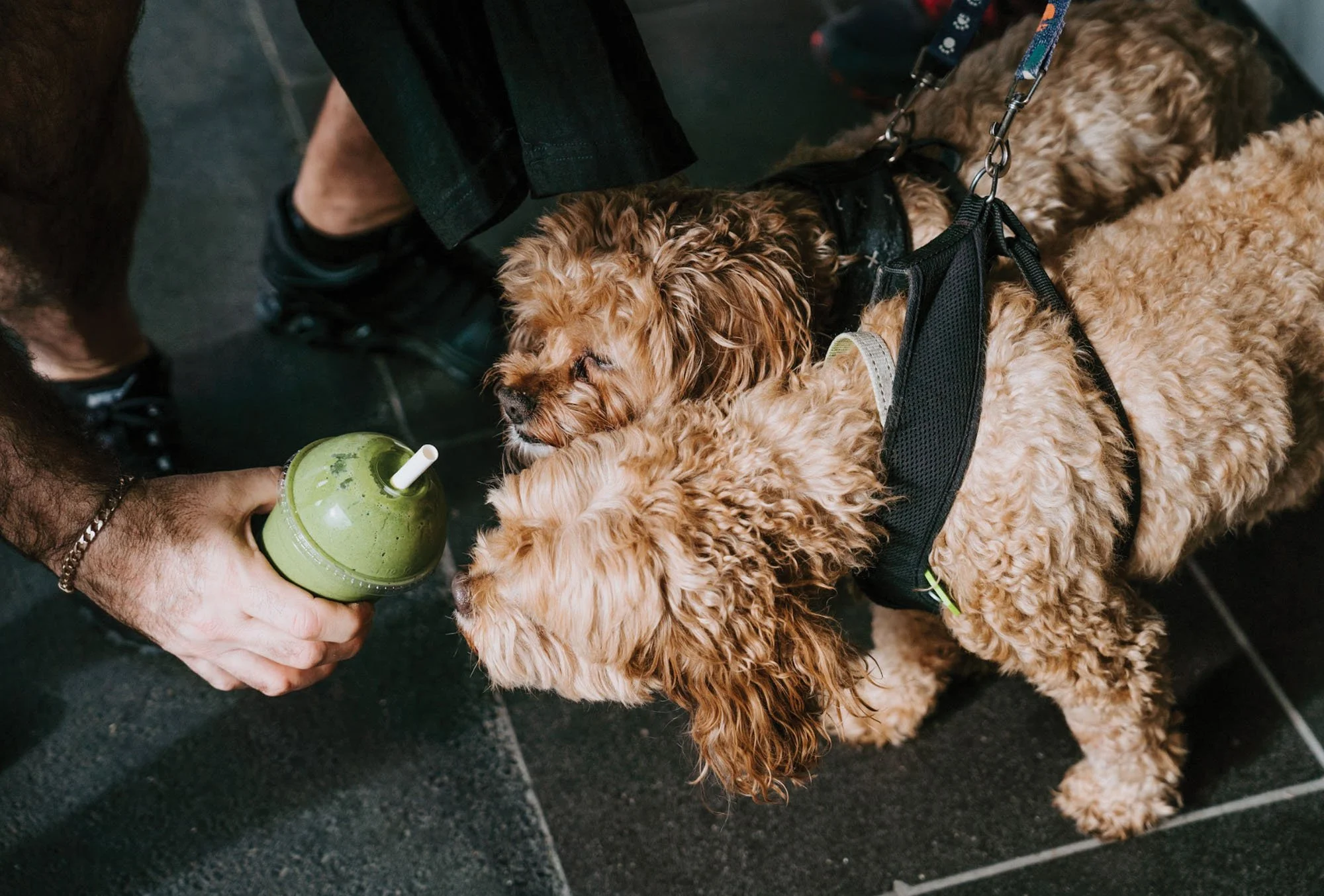 Blitz Bar - Self-Serve Acai, Melbourne