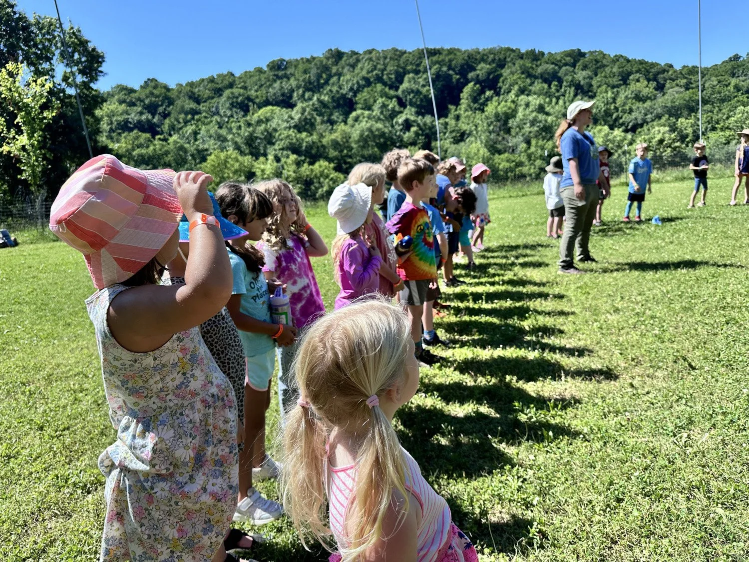 Farm Camp - Summer 2026 — A New Leaf Nature School