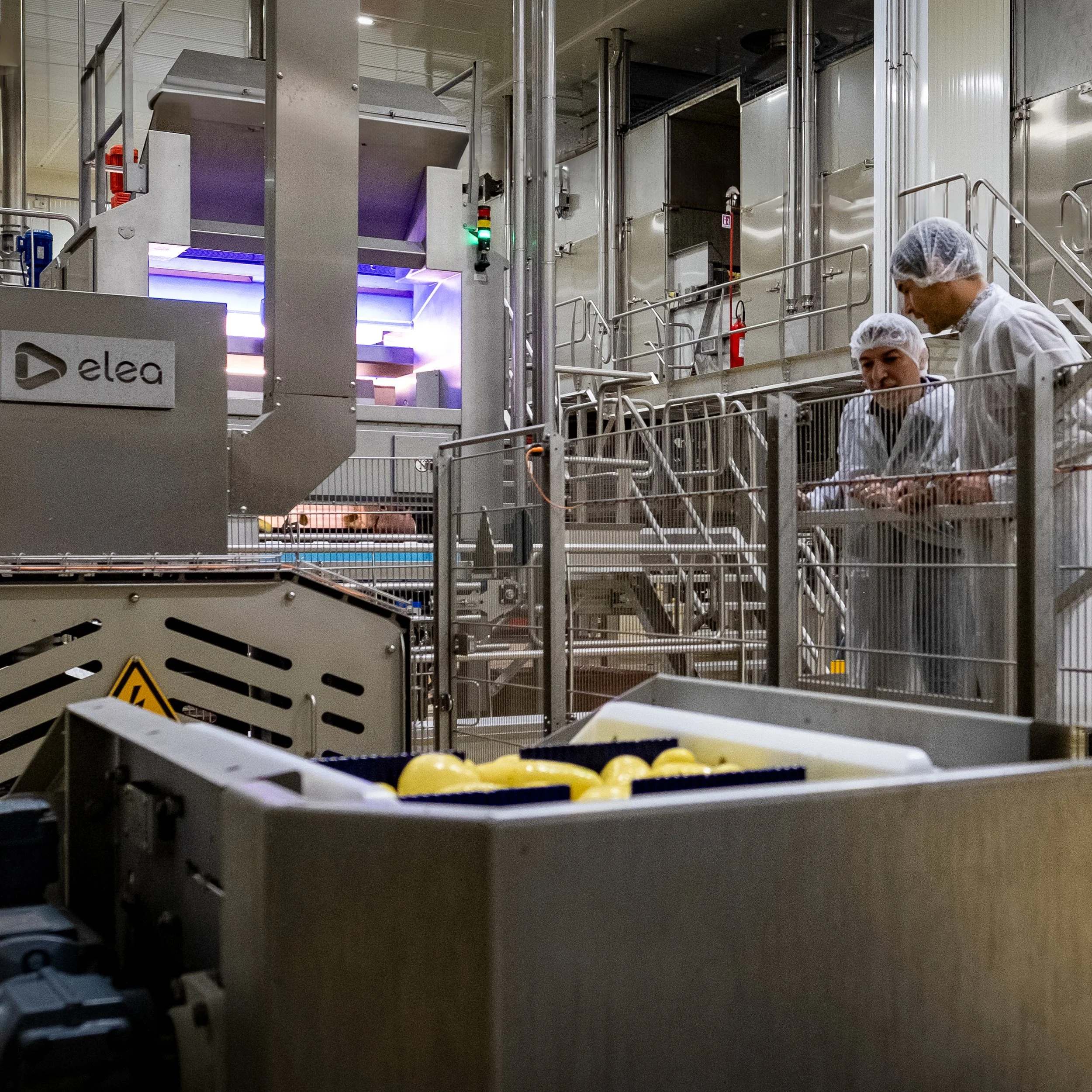 Elea PEF electroporation | Enhance with Elea