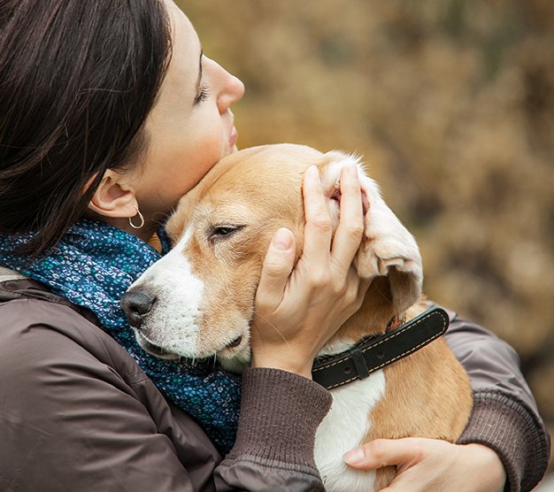 What's Economic Euthanasia? — Treasured Pets Foundation