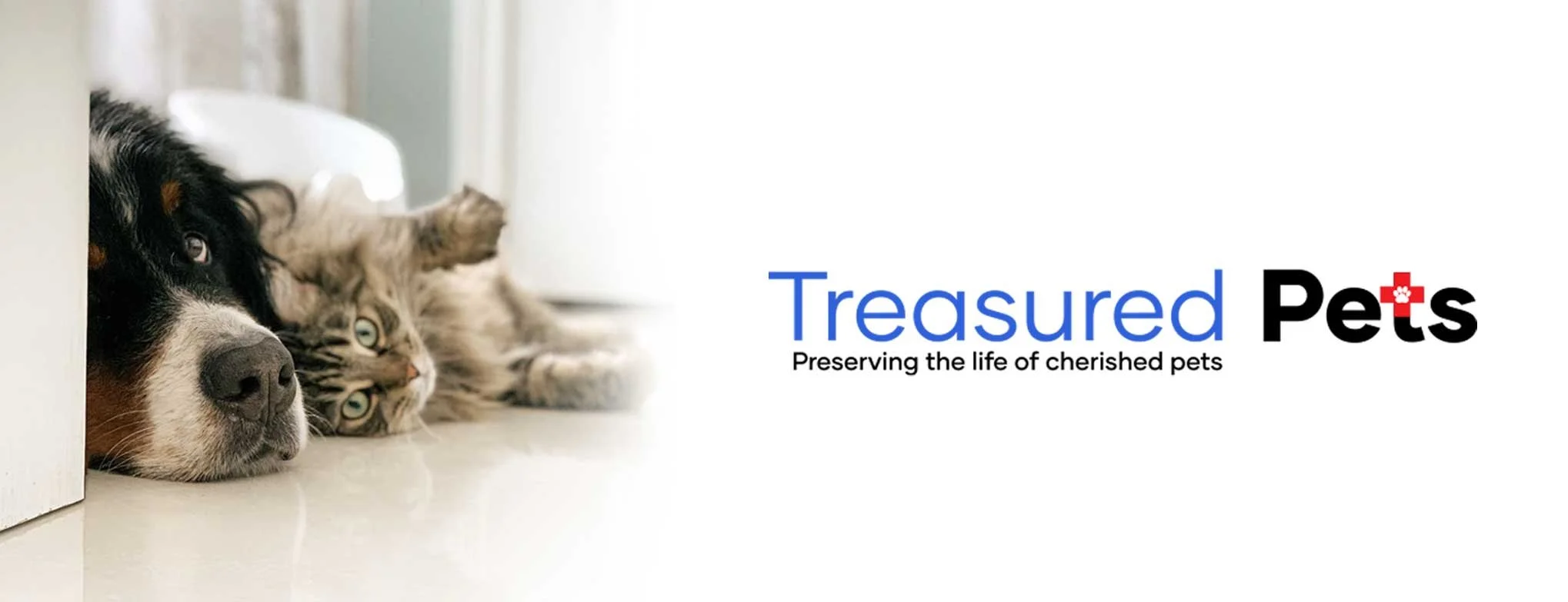 What's Economic Euthanasia? — Treasured Pets Foundation