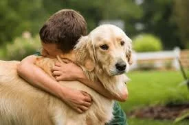 What's Economic Euthanasia? — Treasured Pets Foundation