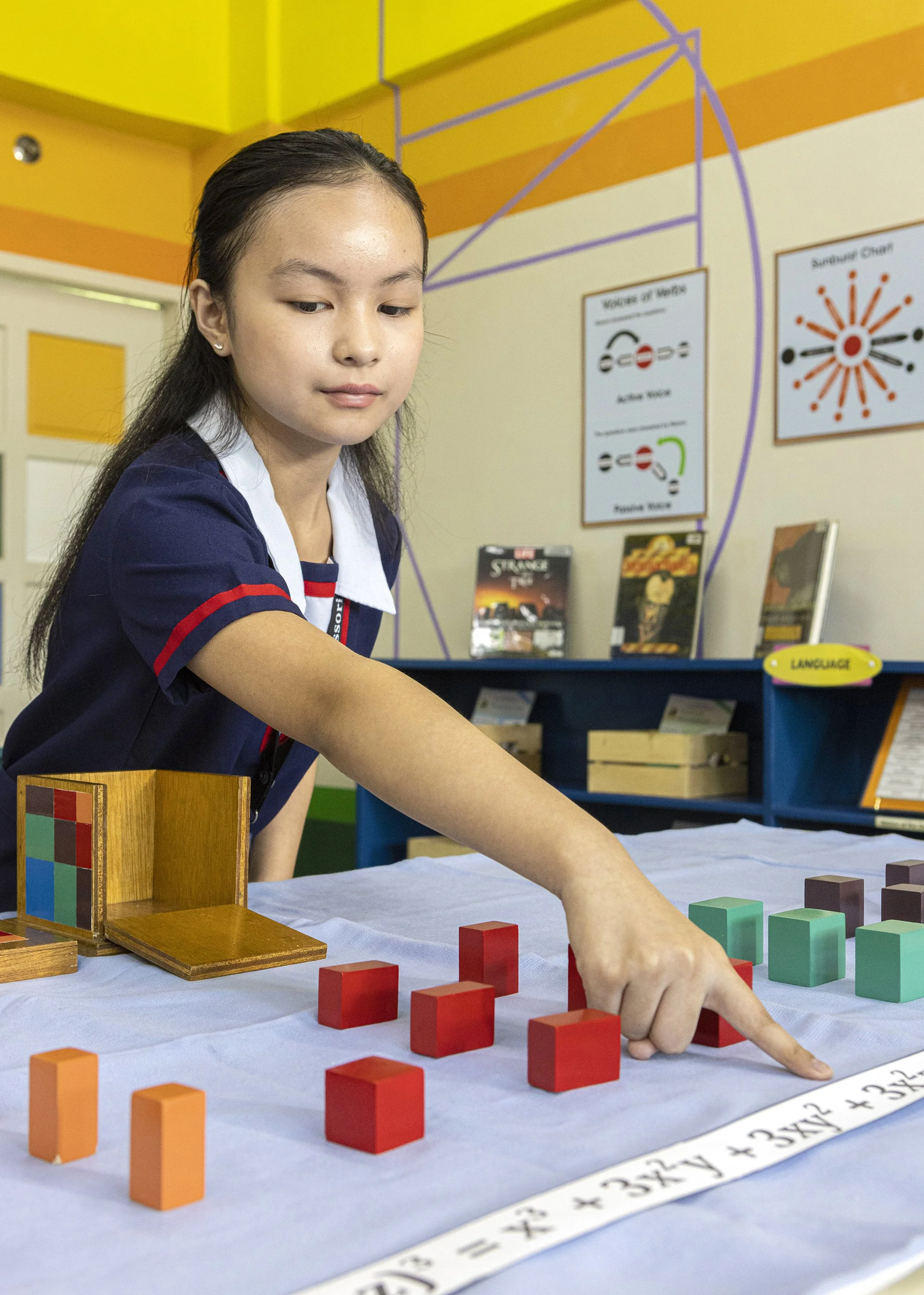 Grade School Intermediate — OB Montessori Center