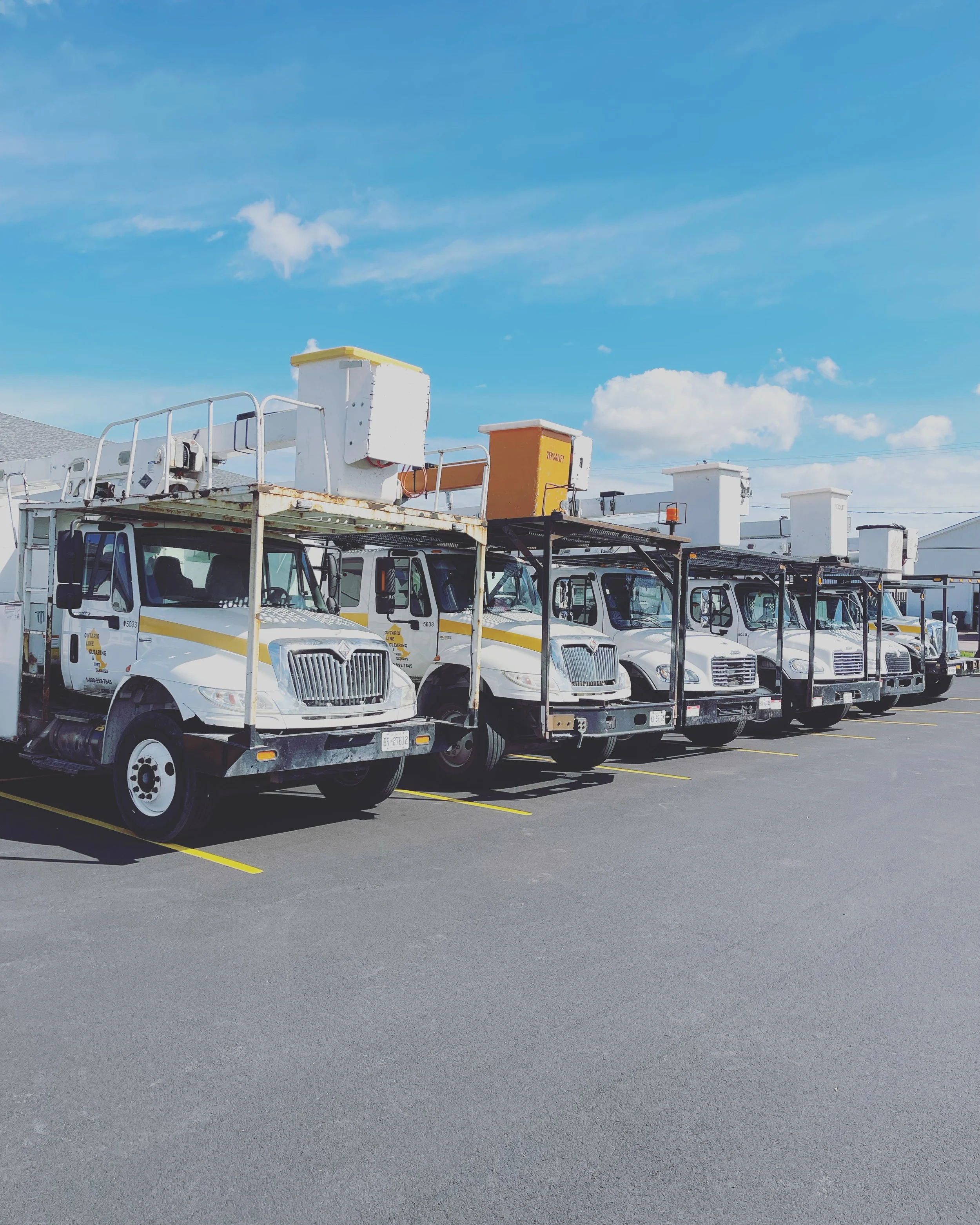 Ontario Line Clearing & Tree Experts Inc.