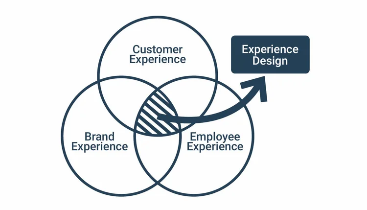 Designing the Human Experience: Introduction — Onyx Creative