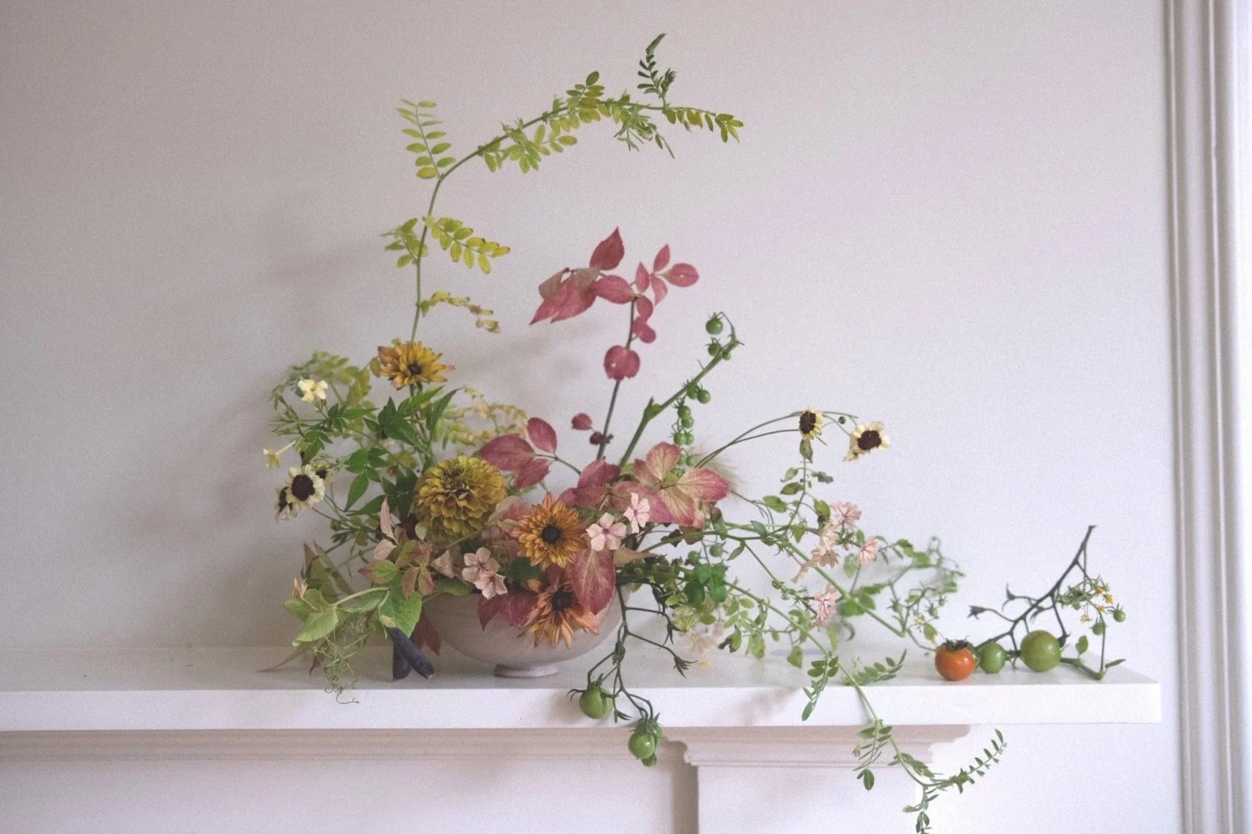 Julie Cook