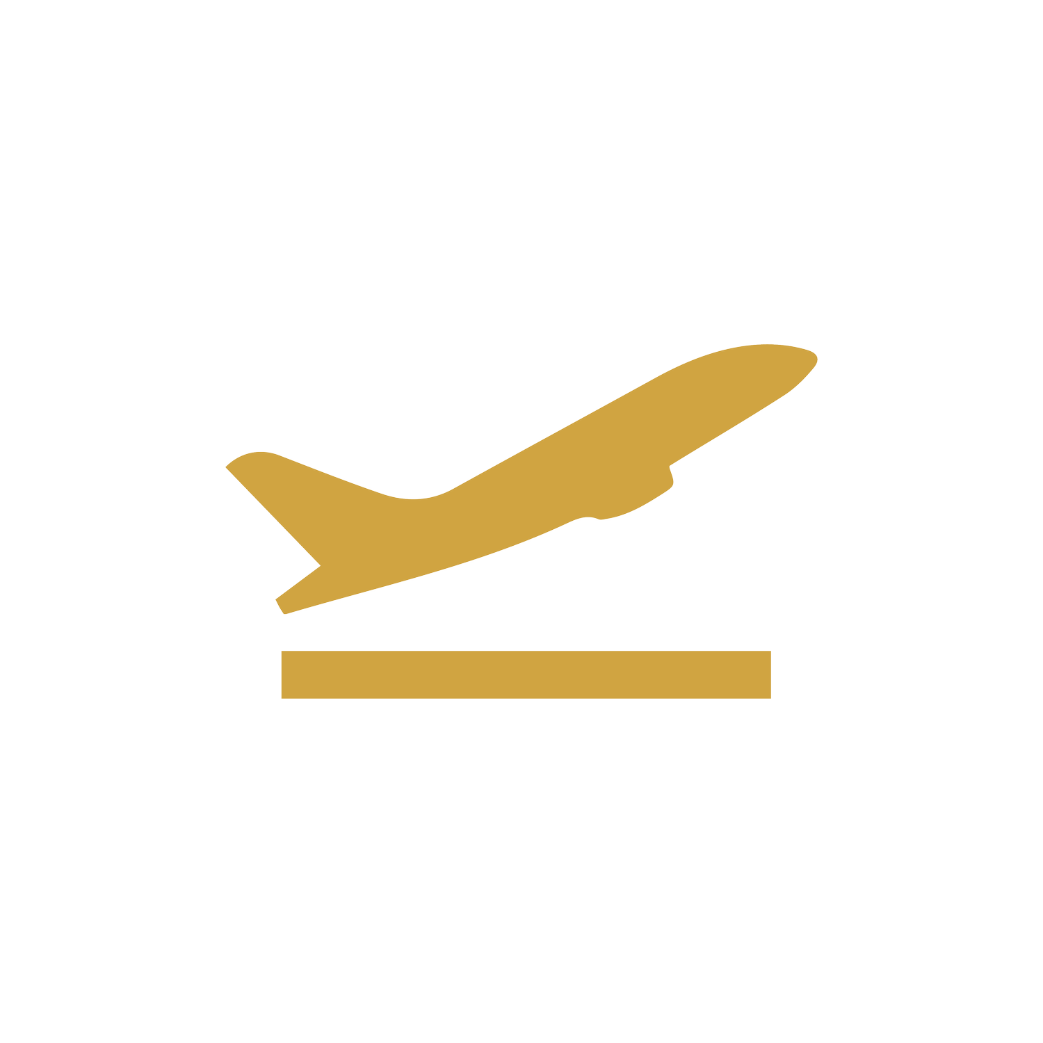 Vertical Vision Flight Academy