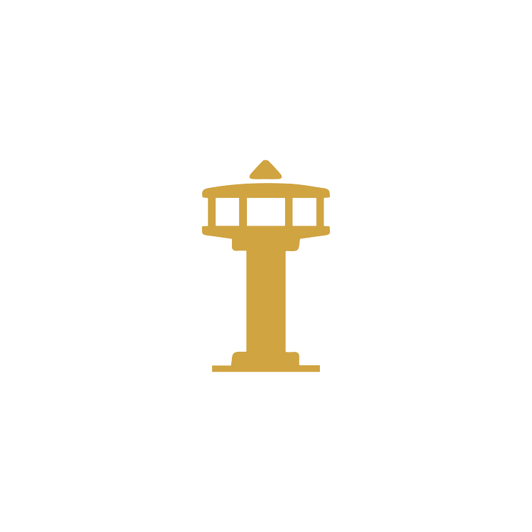 Vertical Vision Flight Academy