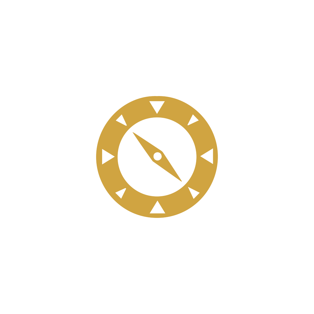 Vertical Vision Flight Academy