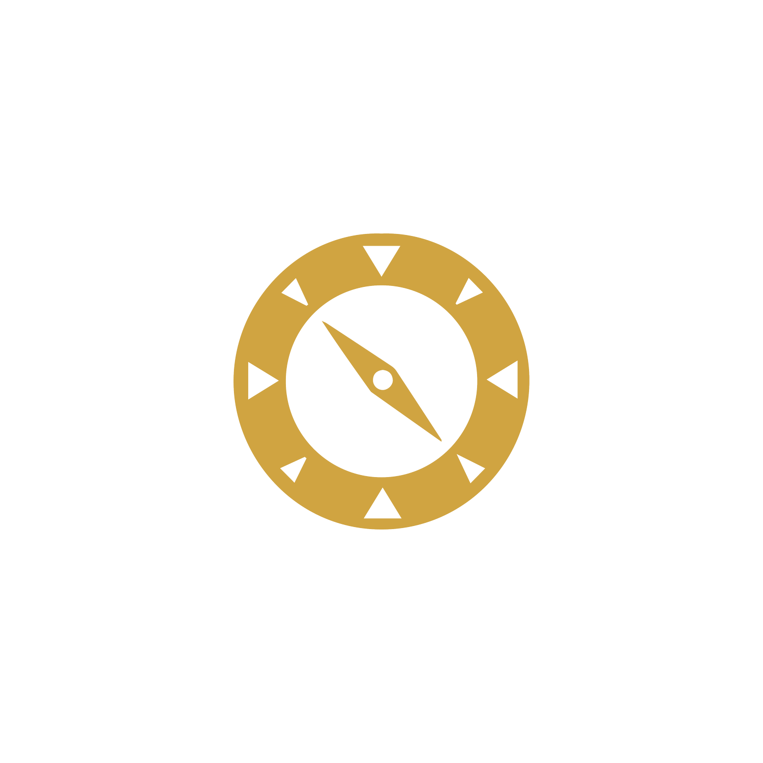 Vertical Vision Flight Academy