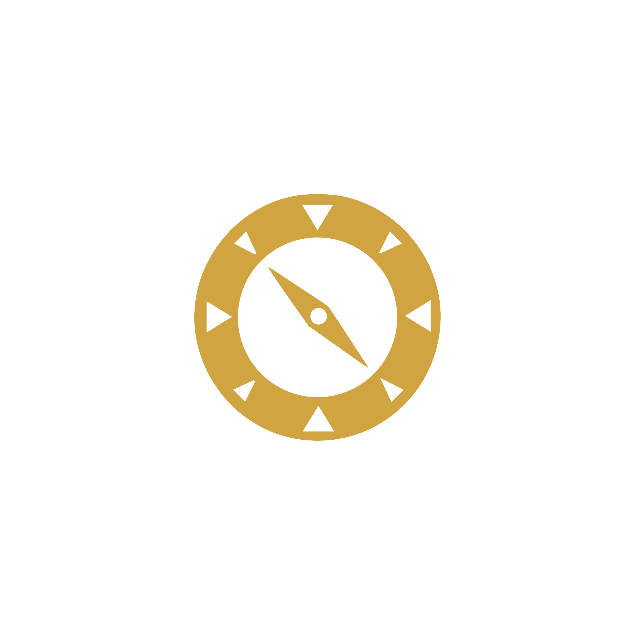 Vertical Vision Flight Academy