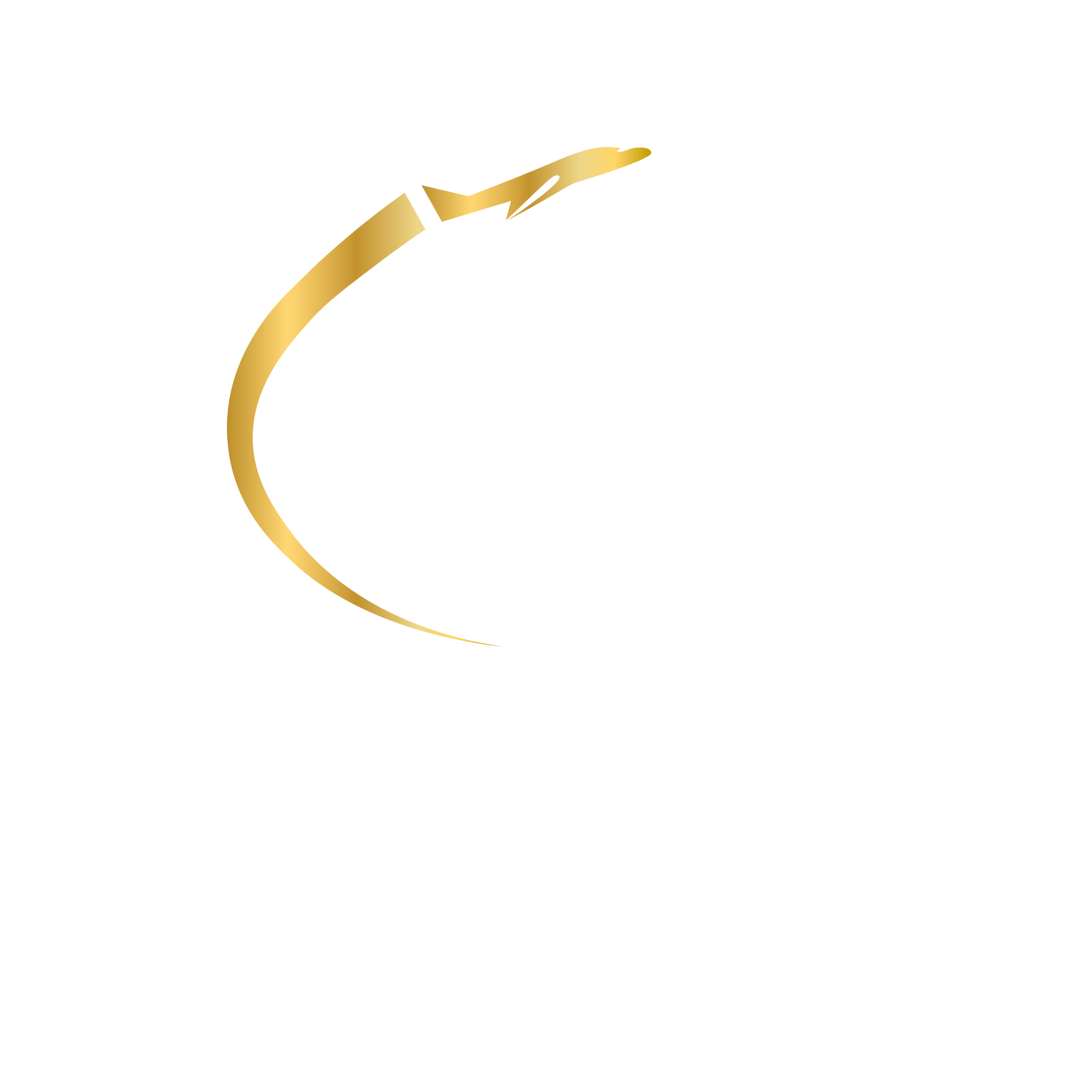 Modern Aircraft | Vertical Vision Flight Academy