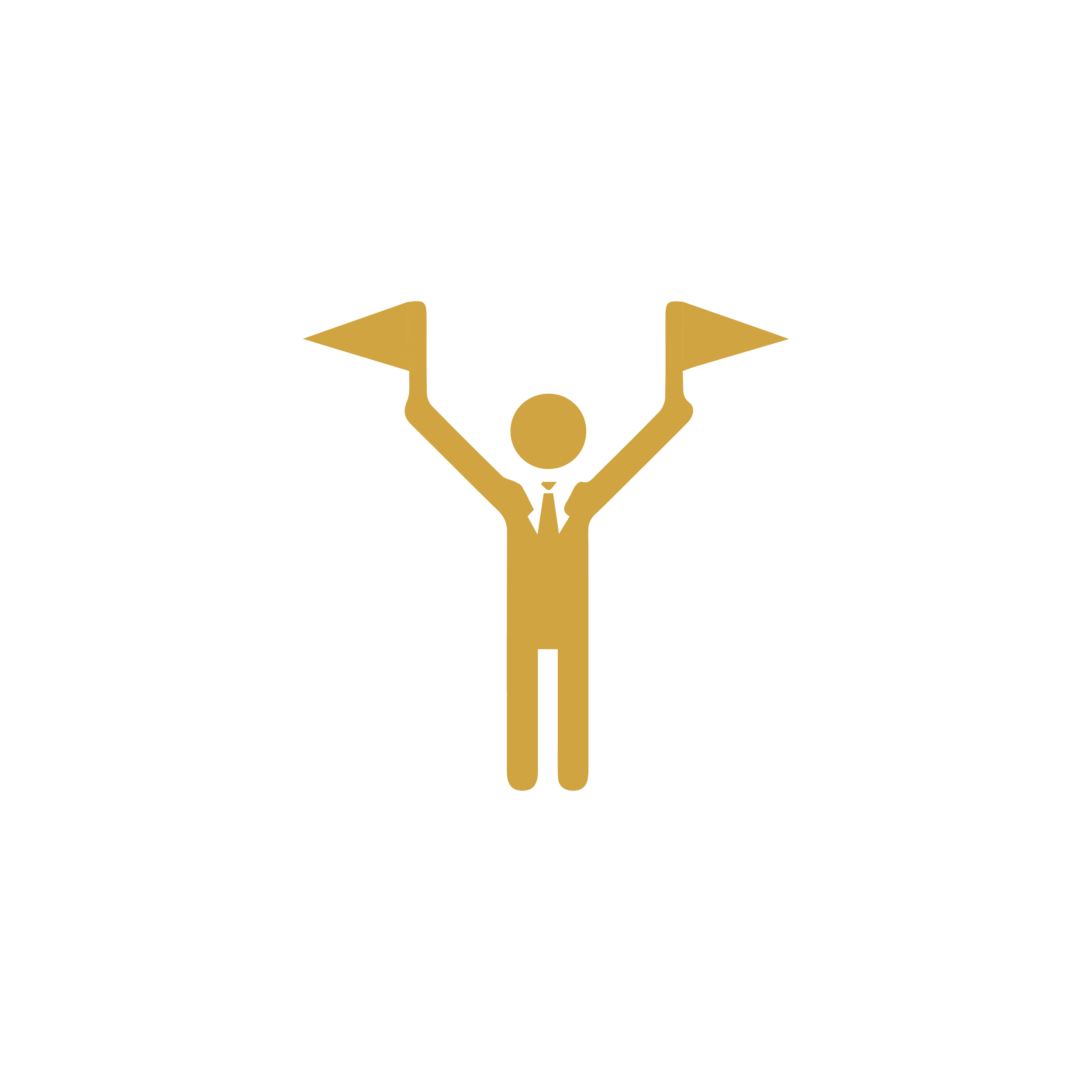 Vertical Vision Flight Academy