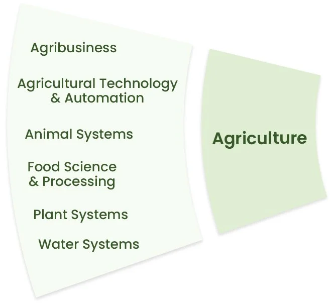 Career Clusters | Explore Careers Today — Get Inspired — National ...